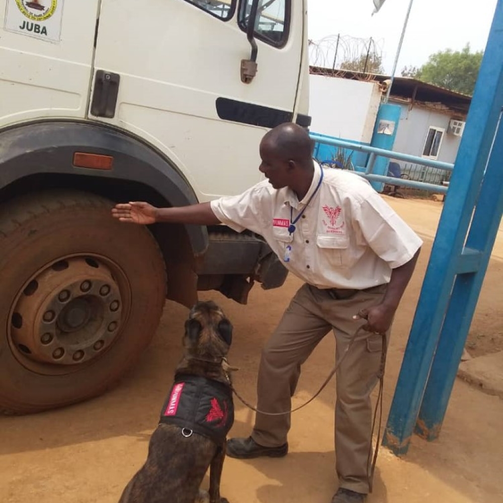 Dyck Advisory Group - Canine Services